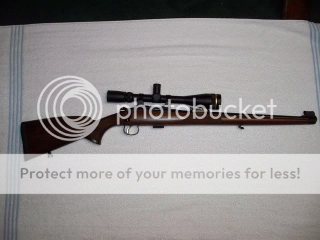 My new 452 FS | Page 2 | Rimfire Central Firearm Forum