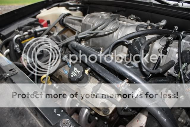 Phenolic Intercooler Gen 3 III Gen 5 V L67 L32 Eaton M90 Stage 3 ...